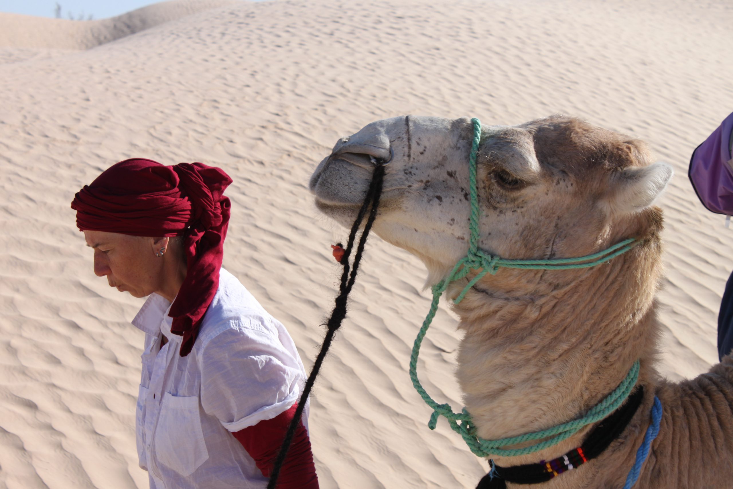 Said und Mabrouk – Sandmeere